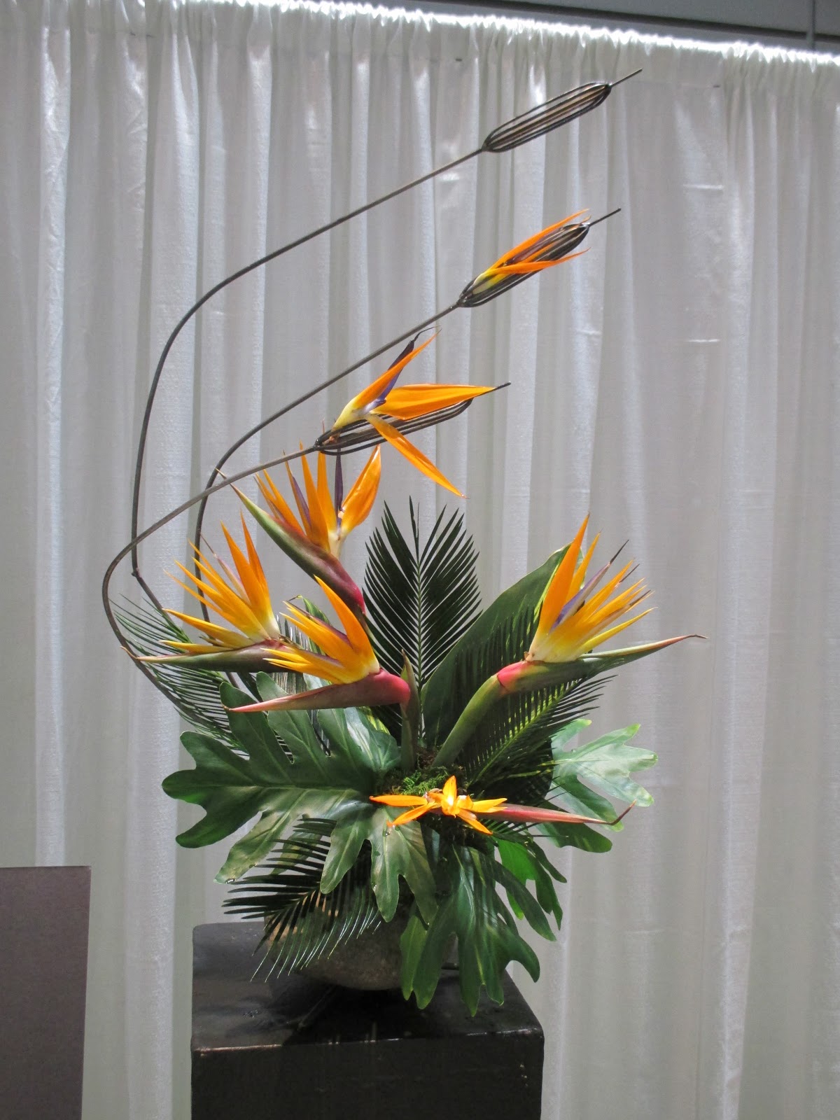 New Garden Club Journal: Dramatic Creative Floral Designs