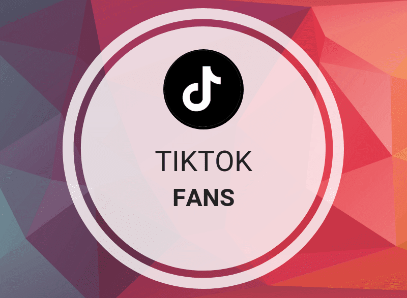 TIKTOK FANS INCREASE