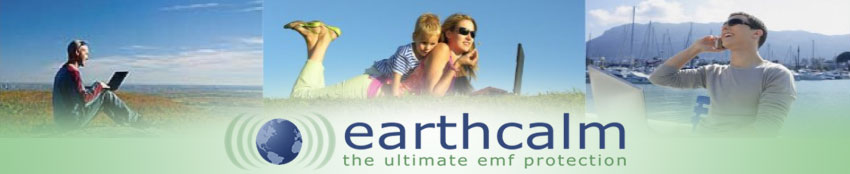 A Lantern In The Dark: EarthCalm