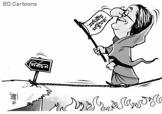 BD Cartoons: 2013