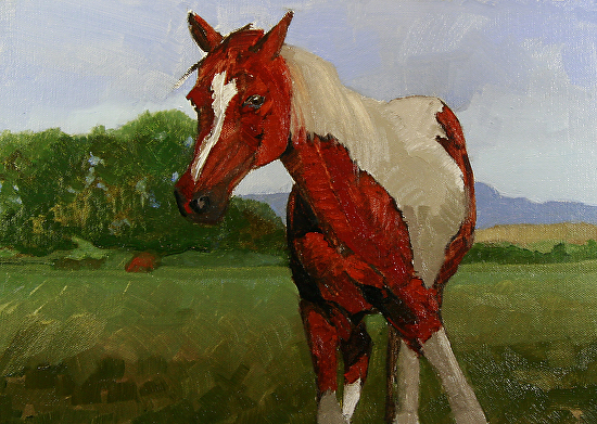 Susan Fowler Fine Art: "Curious Spirit" Original Oil Horse Painting by ...