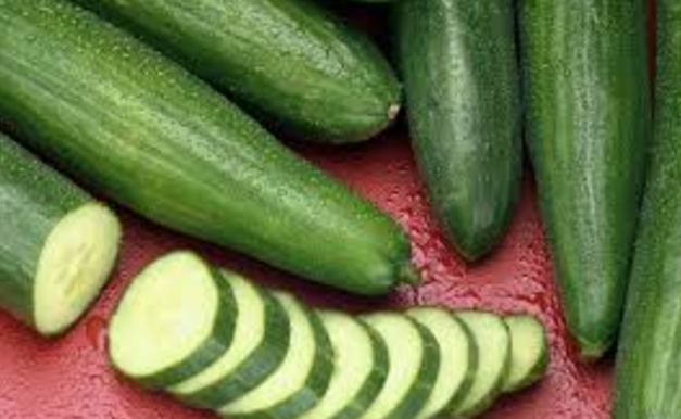 Ayurveda Home and Remedies with Nature: खीरा की खेती करने का तरीका ...