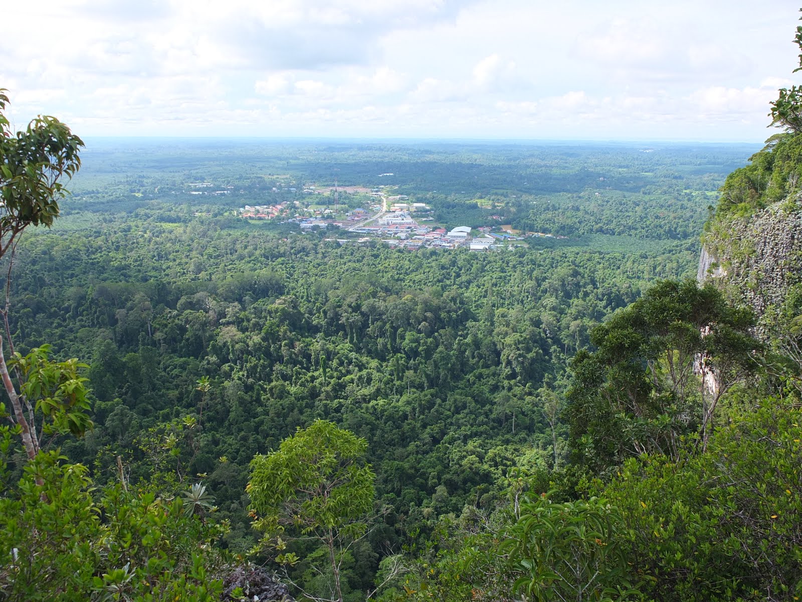 Come to Miri: Bukit Kasut @ Great Cave of Niah