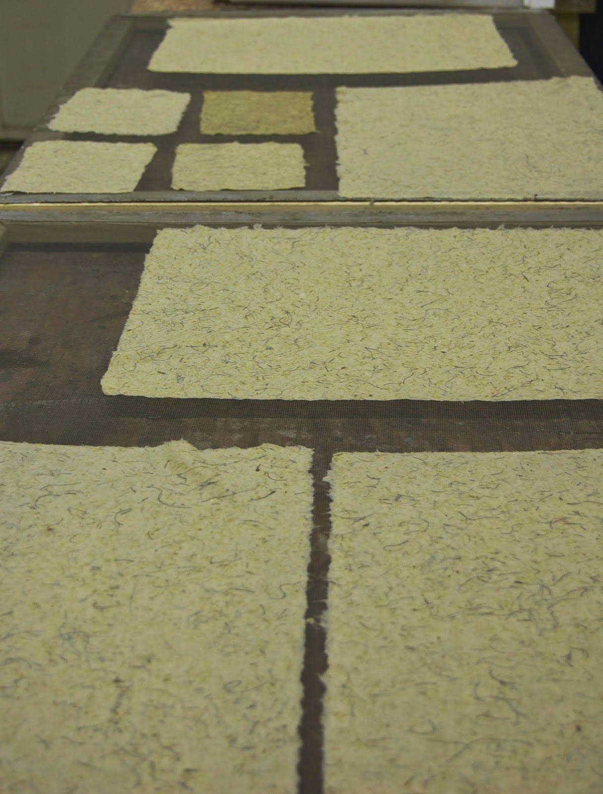 Draw what you see: I'm making spanish moss paper... from moss.