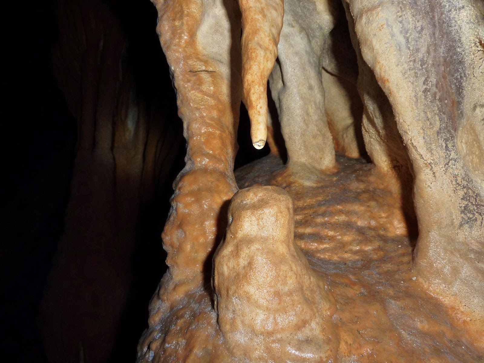 72 - Cova Tancada del cap de Menorca (Alcúdia) 7-7-2013 | Aires de la ...