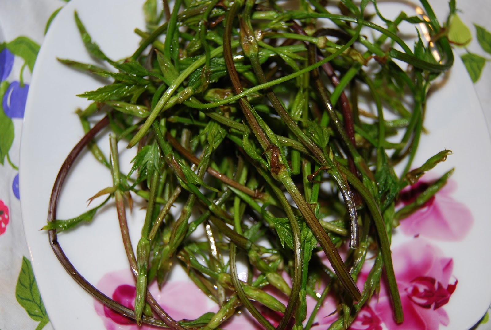 Ricette di famiglia facili e veloci: Frittata campestre con i livertin