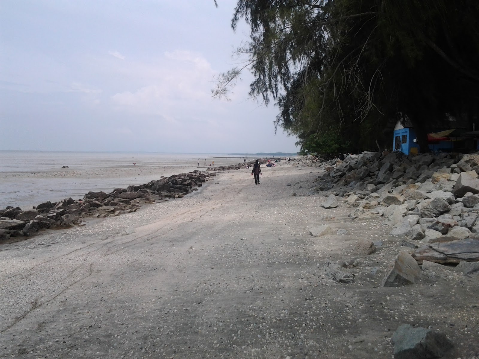 MeNarA KehiDupaN: Pantai Remis Kuala Selangor