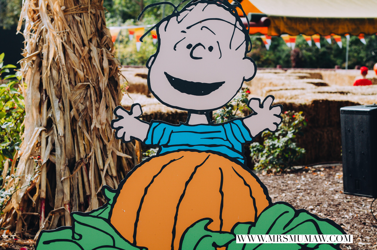 Cedar Point's Halloweekends with Kids | The Every Things Mrs Mumaw ...