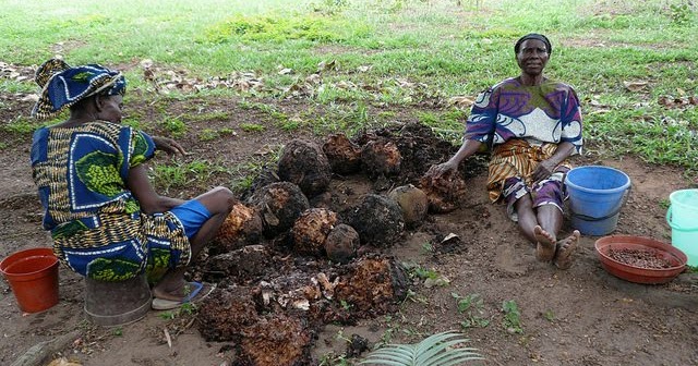 Mbanese Blog: UKWA AS MY FAVOURITE IGBO DELICACY