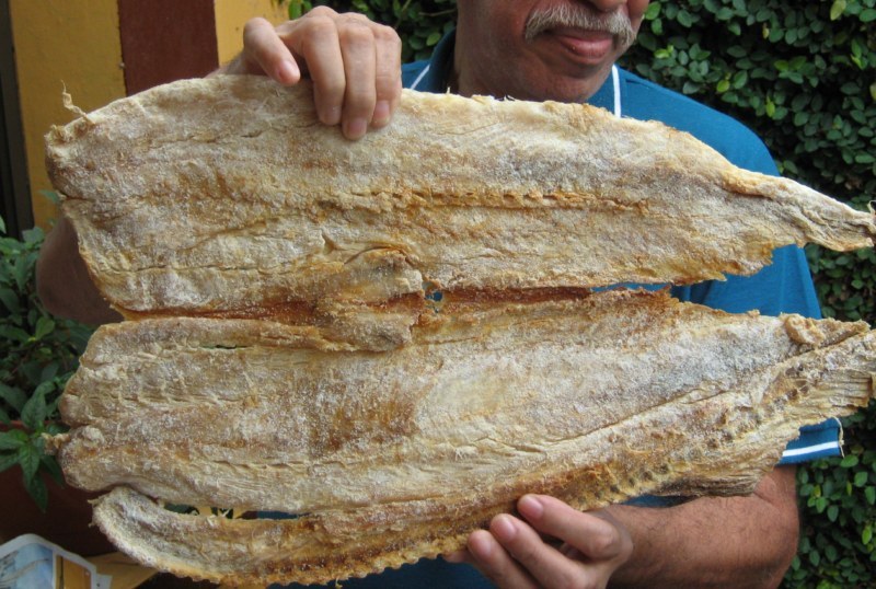 Ciencias Culinarias: LOS PESCADOS