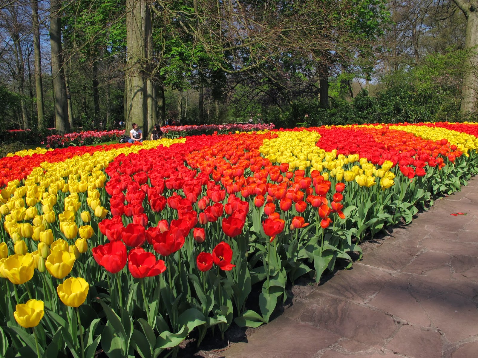 Ingrids Post-it: Tulpaner, tulpaner, tulpaner ...