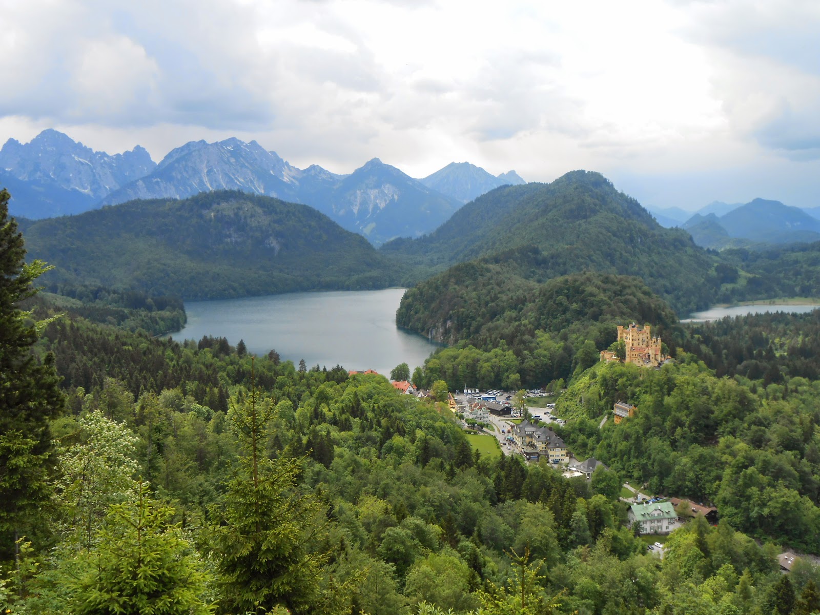 Alpine German-Speaking Mission: June 2014