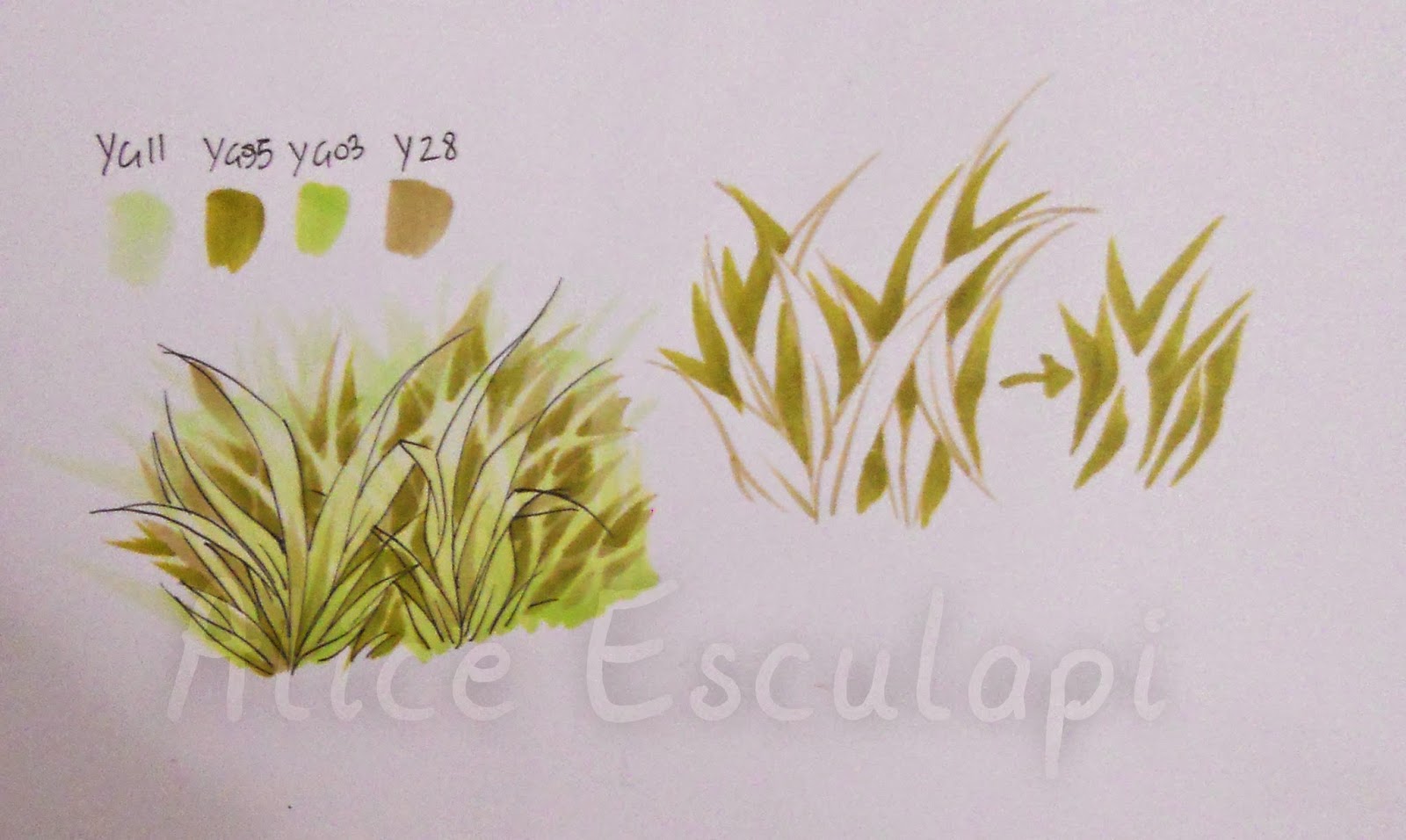 Copic Italia: Tutorial - Texture 01