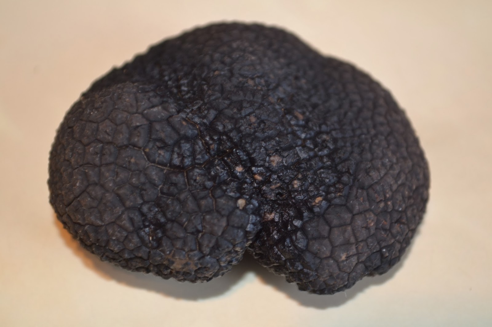 Trufe Romania Albe si Negre