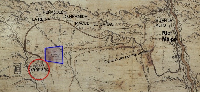 GESTIÓN DEL ÁRBOL URBANO - - - - - - - - - - - - -: ORIGEN DEL