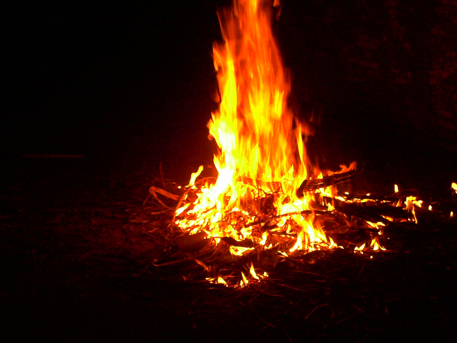 Queima de Lixo Doméstico: FOTOS de queimada ocorrida em terreno Baldio ...