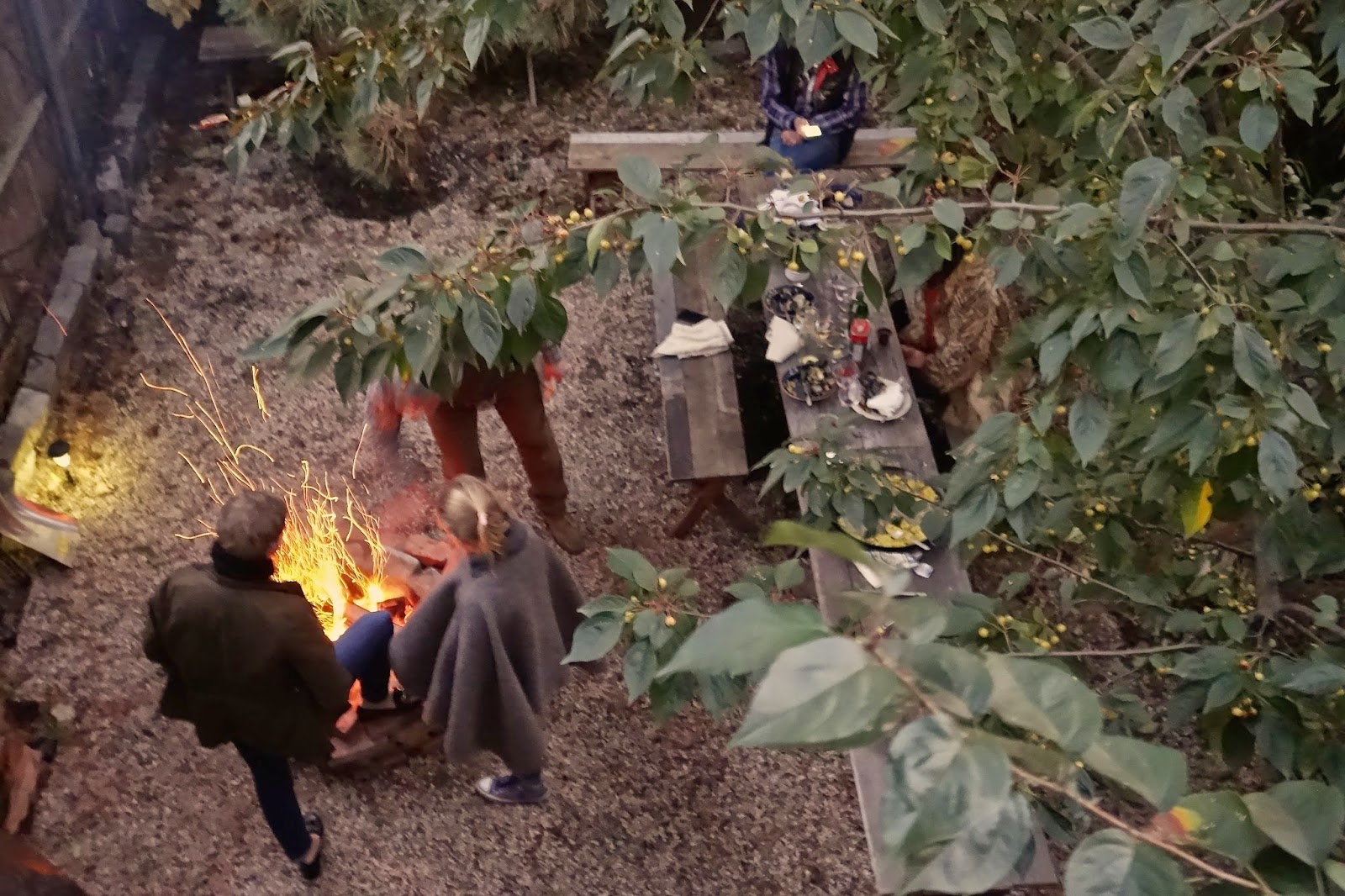 The William Brown Project