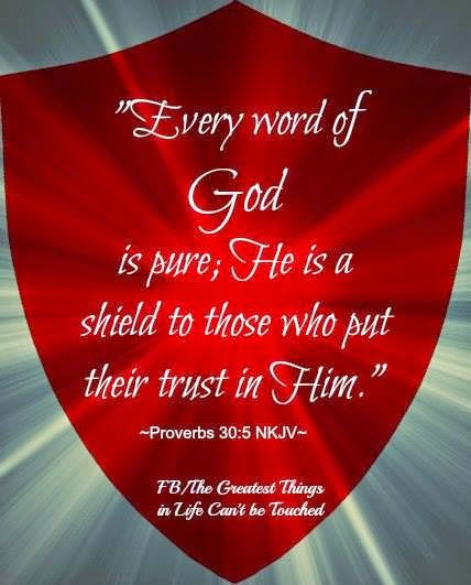 "EVERY WORD OF GOD IS PURE; HE IS A SHIELD TO THOSE WHO PUT THEIR TRUST ...