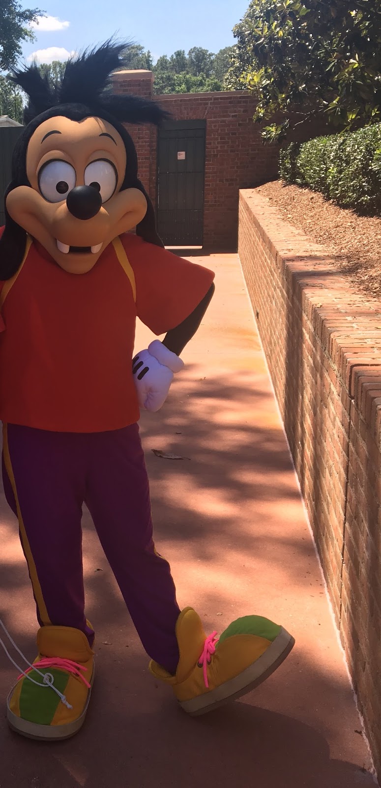 Max Goof Disney World