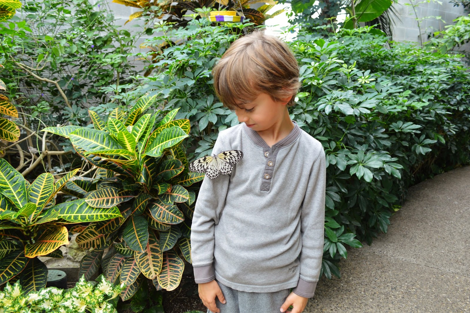 Mothering With Mindfulness Making Memories
