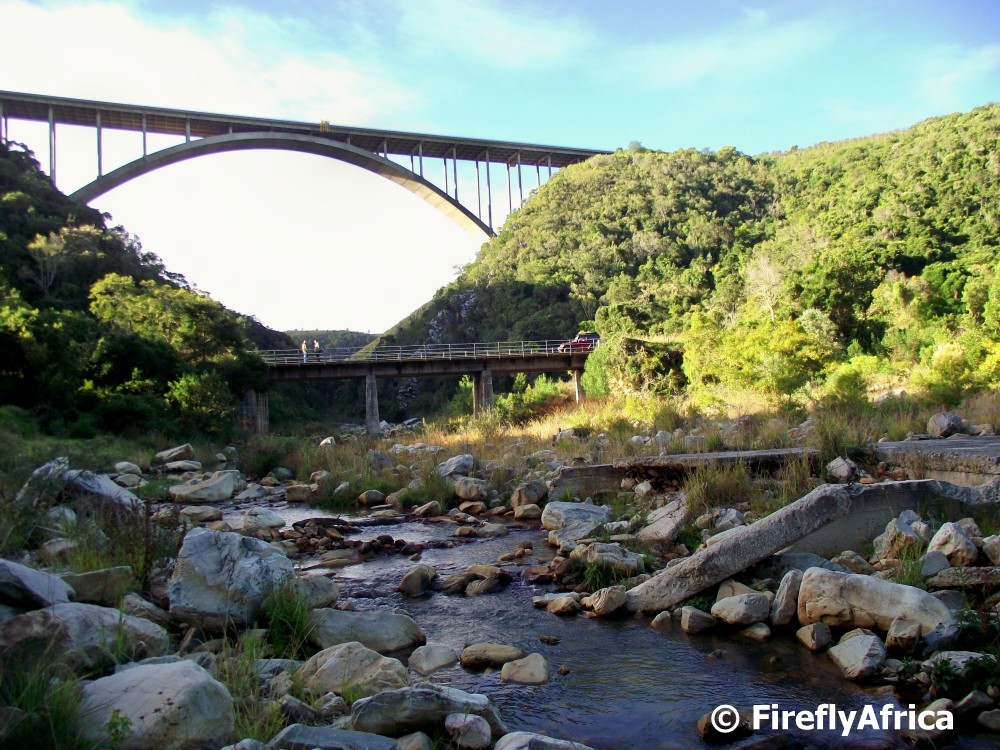 Port Elizabeth Daily Photo: Two bridges and a drift