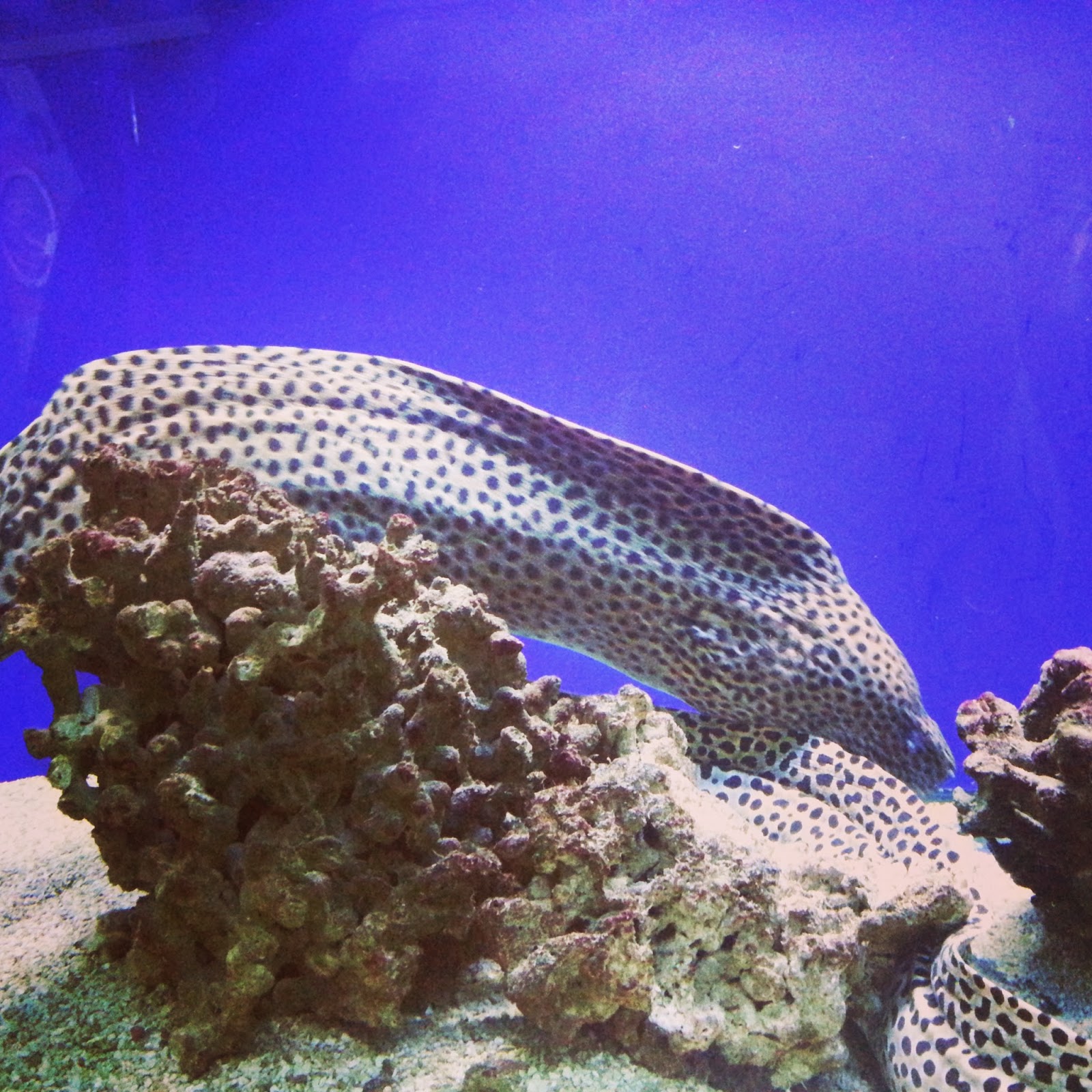 Besh Shimatado: Few Hours Trip to Labuan ~~ Place To Visit In Labuan ...