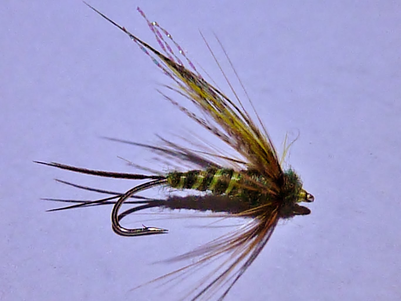 SOFT~HACKLE JOURNAL: Larger Western Mayflies of Autumn