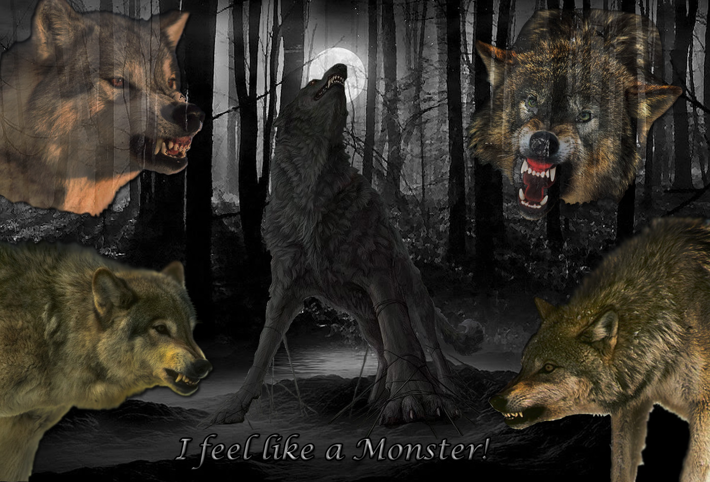 Shadow Wolf: Digital Imaging Final Project - Image 2