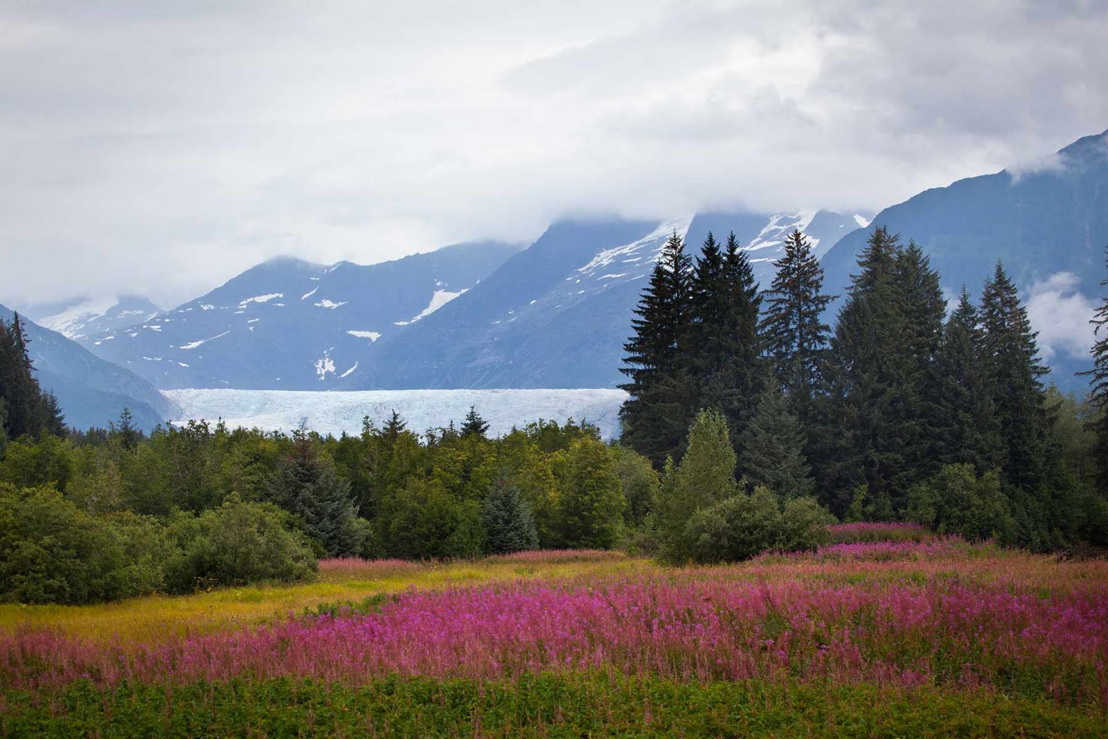 Capturing The Moment Photography: The Alaskan Wilderness