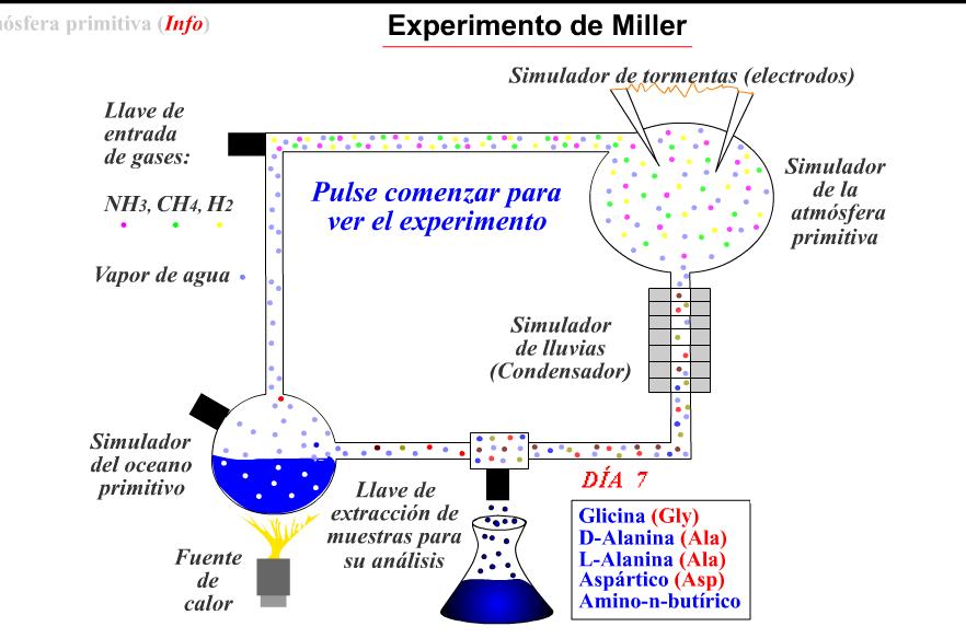 CMC: Tema 2 // ejercicio 3 : la teoría de Oparin-Haldane y el ...