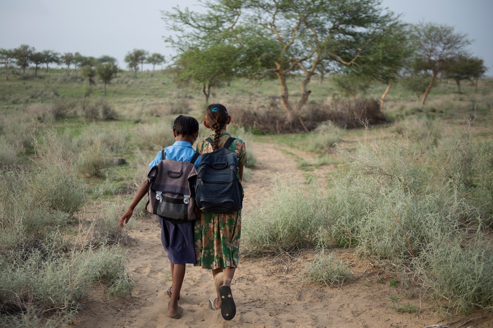 Vikram Chalana blog: Aim for Seva - Solving Rural Education in India