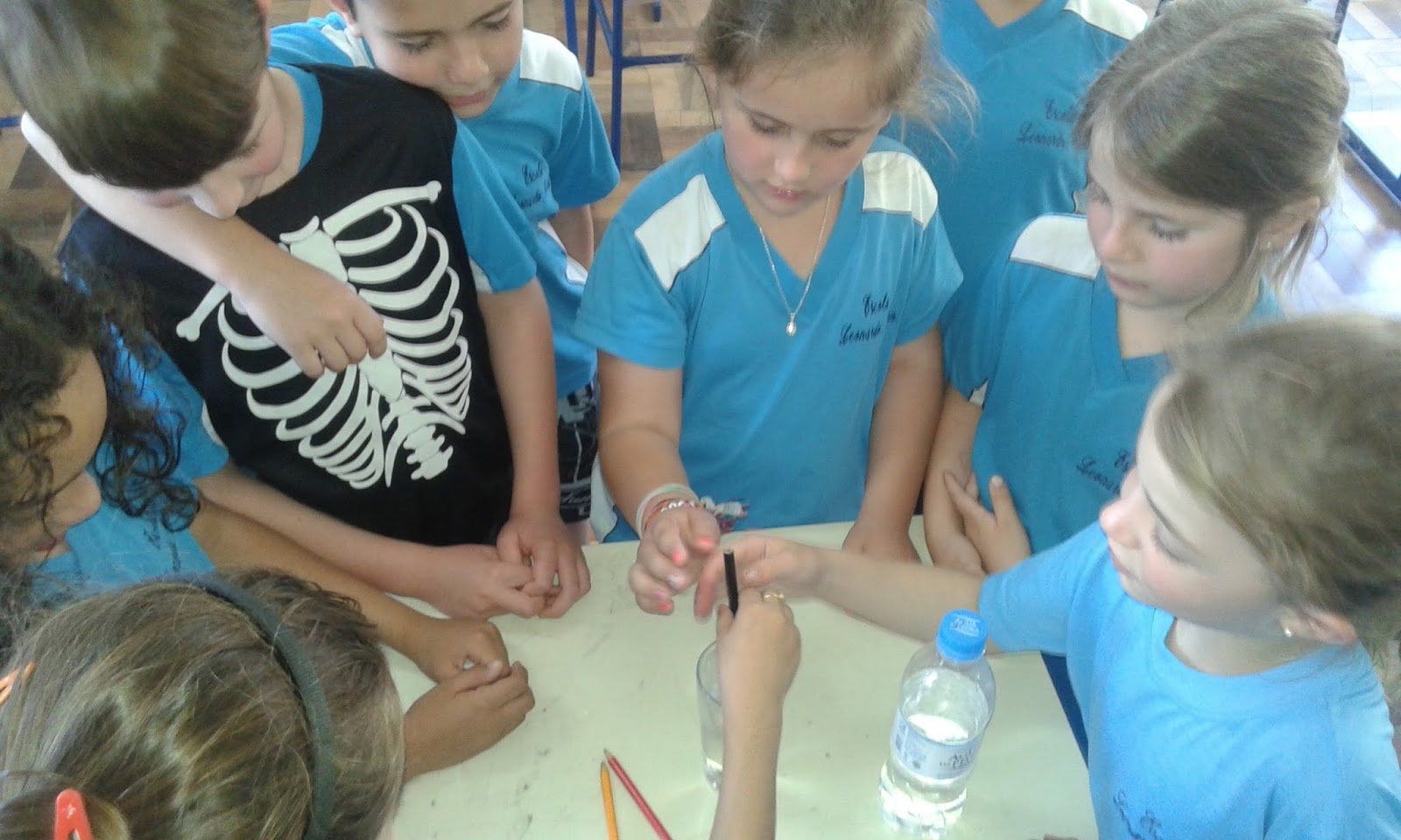 Blog do Diego Lutz: A importância da investigação e da experimentação ...