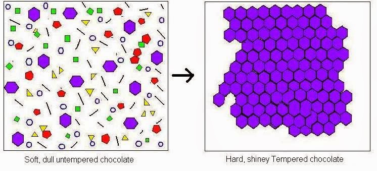 ALIMENTA TU DIETA: The Science of Chocolate for chocofreaks