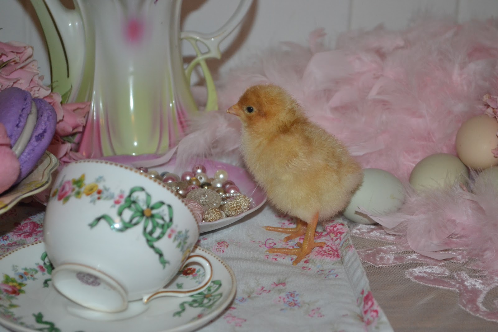 French Blue and Peachy Pink: A Chicken Goes To A Tea Party.....My ...