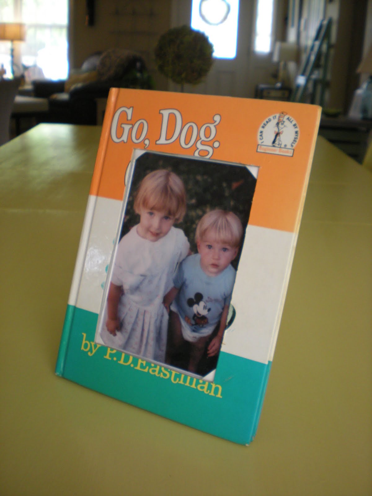 Thrifty Finds and Redesigns: Turning a book into a frame