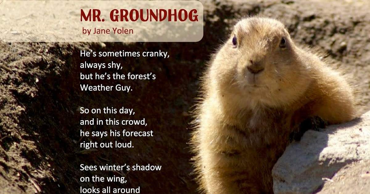 Poetry for Children: Ready for Spring? Celebrating Groundhog Day