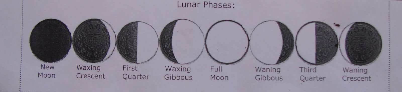 First Grade Lyons' Den: Moon Phases