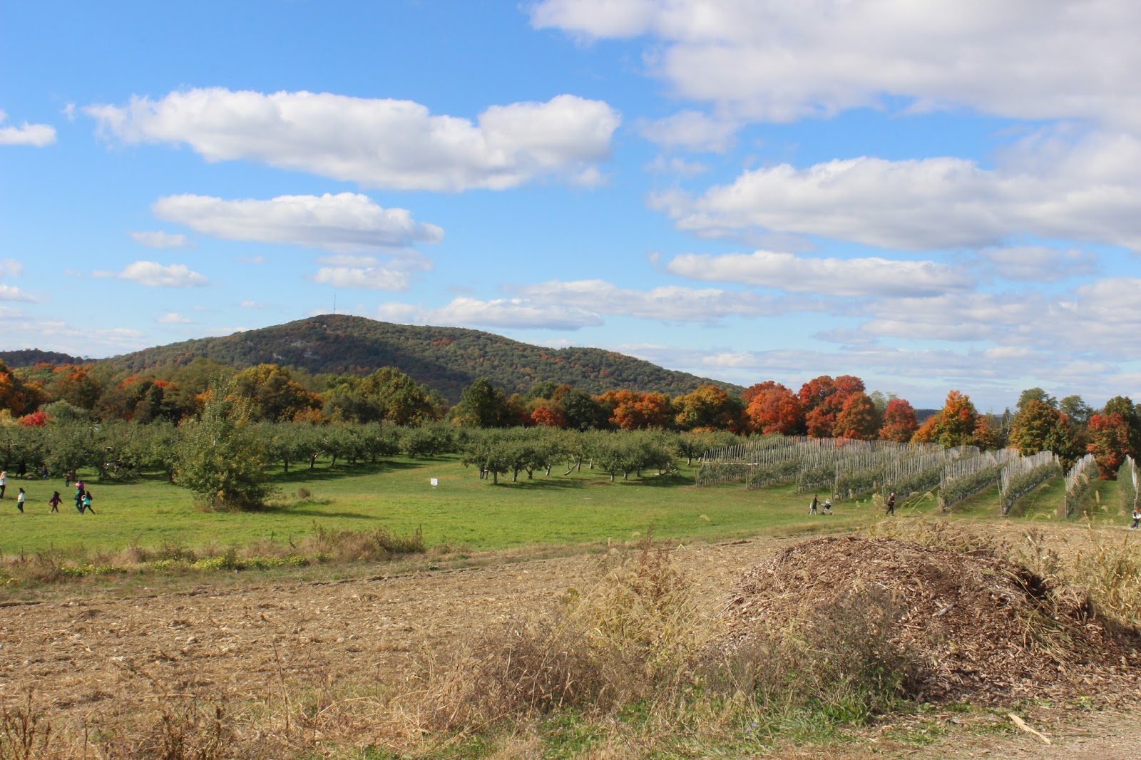 Apple Picking at Fishkill Farms — Patty's Kloset