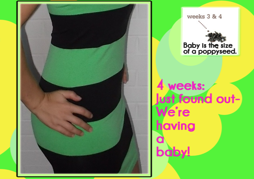 From Poppyseed to Watermelon!: Baby Bump- First 20 Weeks