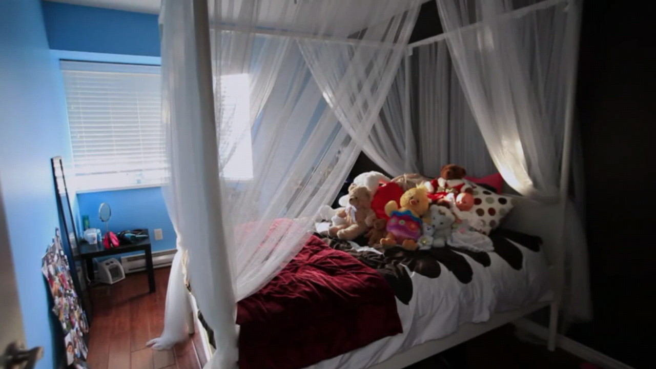 The Internet : Another victim, Amanda Todd