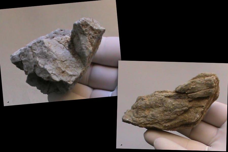 Archaeology of Portable Rock Art: Bird stone figures with heads turned ...