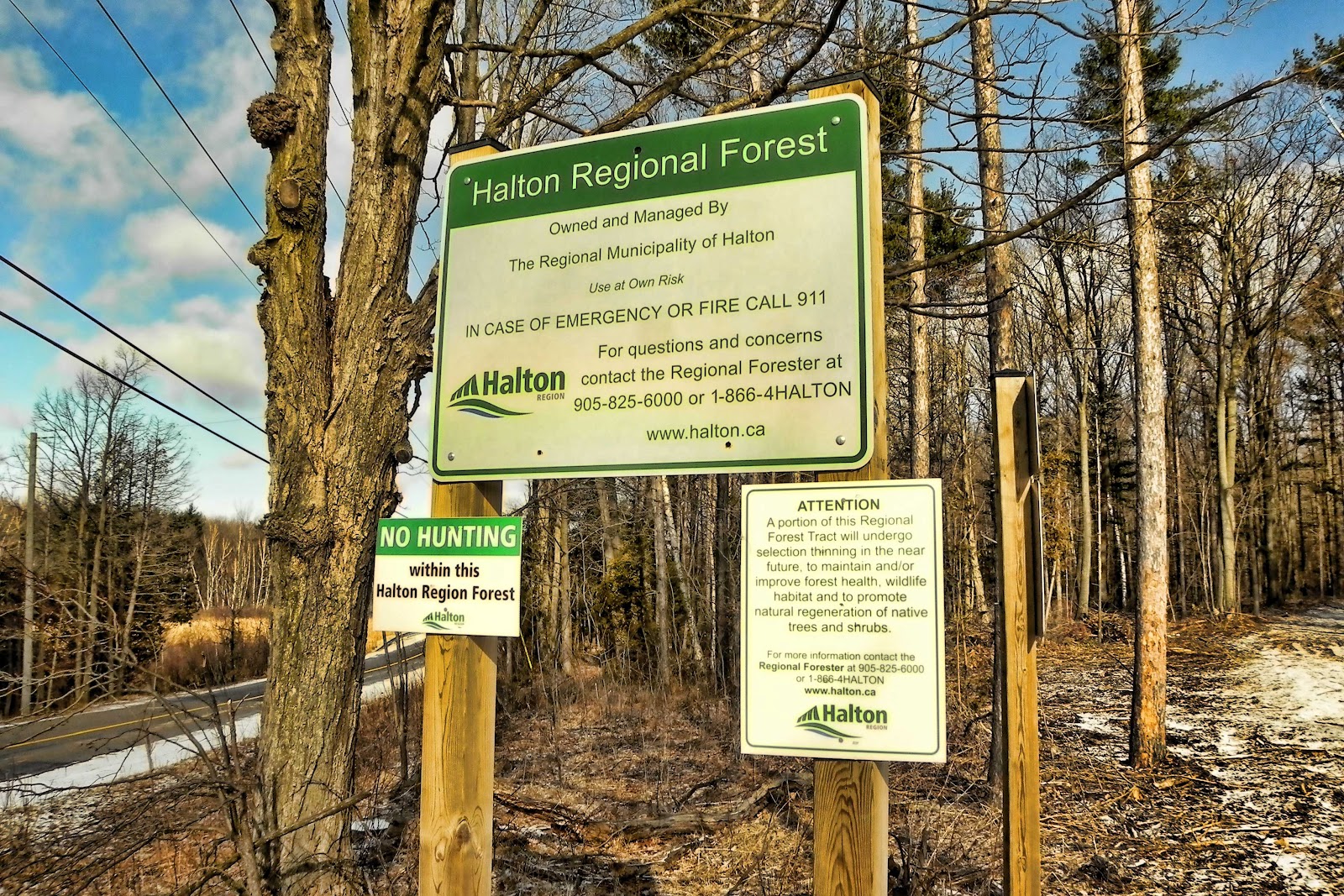 Hiking in Ontario: Cox Tract - Halton Regional Forest