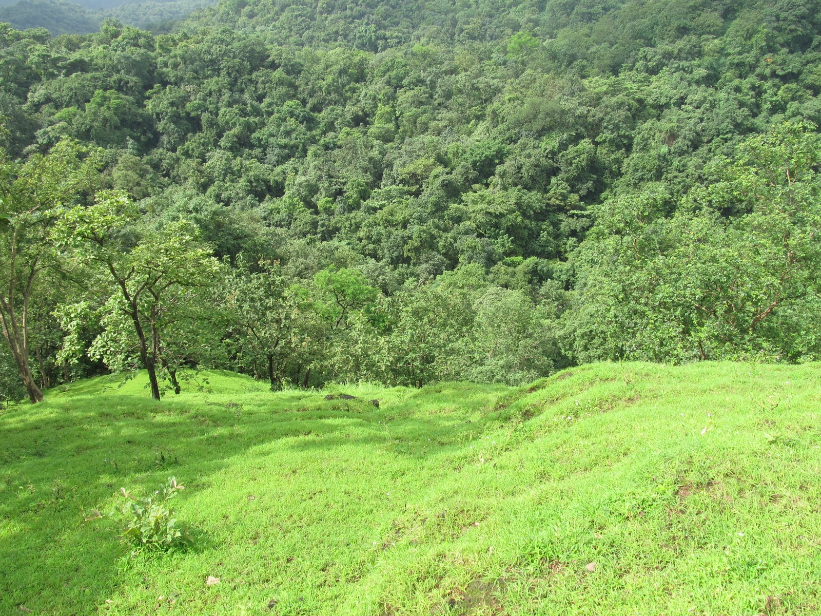 photos of trek trip: Mahuli fort