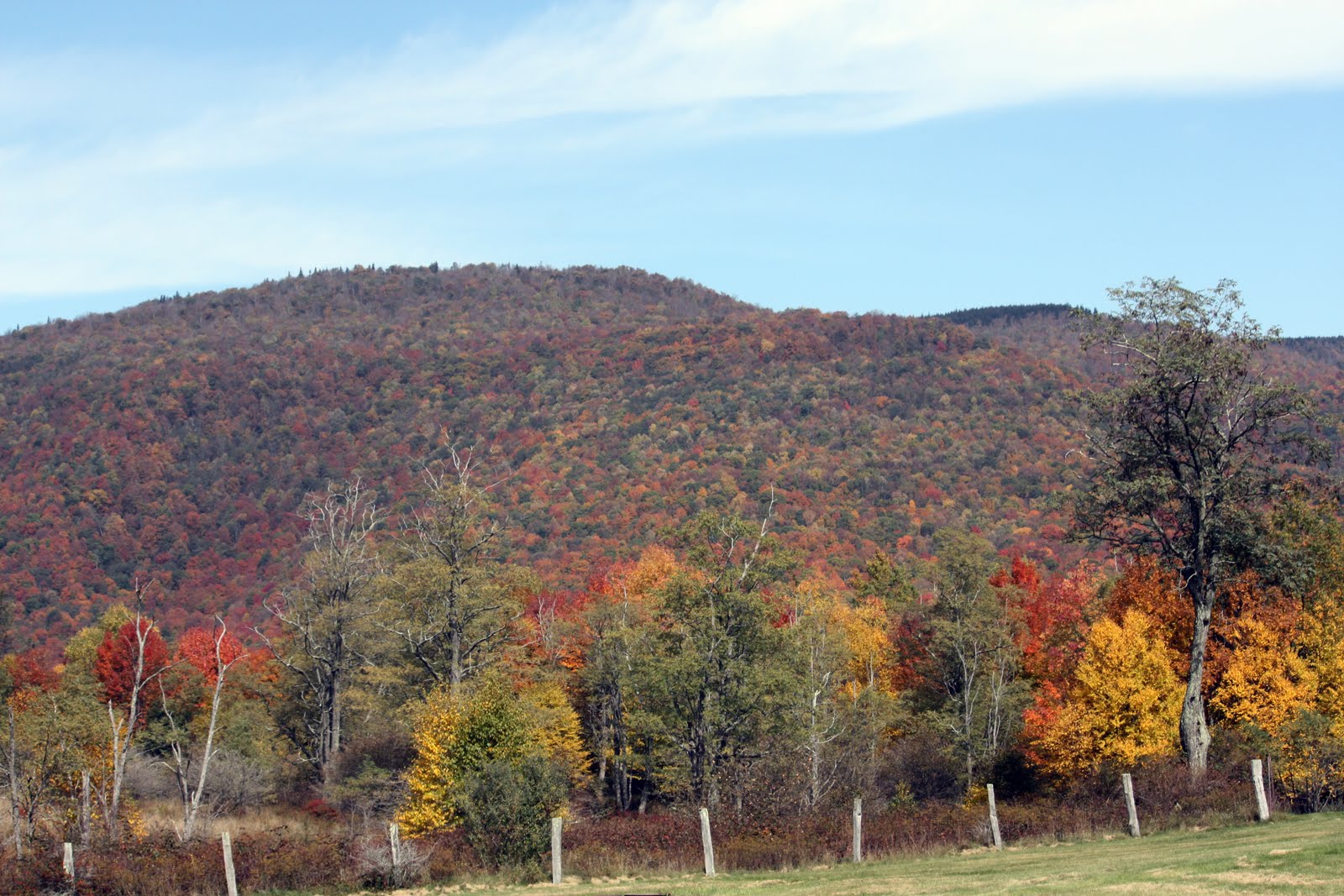 CARLETTA'S CAPTURES: Whitaker Station at Cass West Virginia