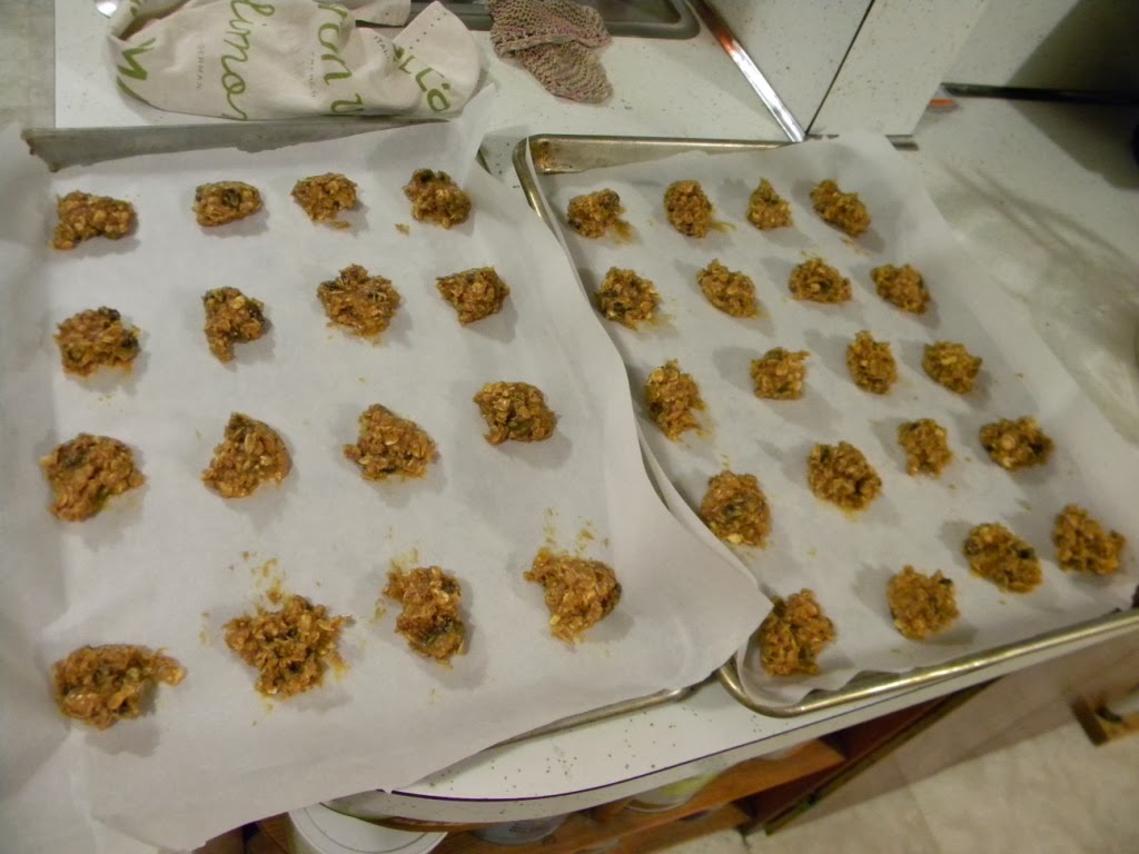 Project 52: Rationing - Week 1 - Oatmeal Drop Cookies