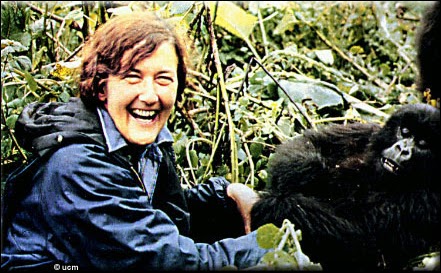 El Pensieve de Dinorider: 82 años de Dian Fossey