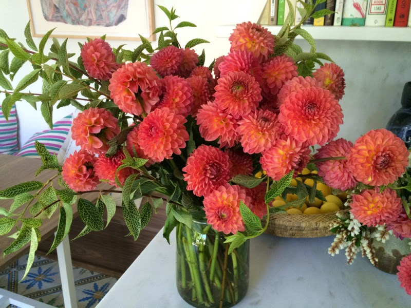 Gracias a la Vida...