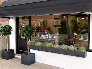 About Dunstable : Shops & Businesses in Dunstable