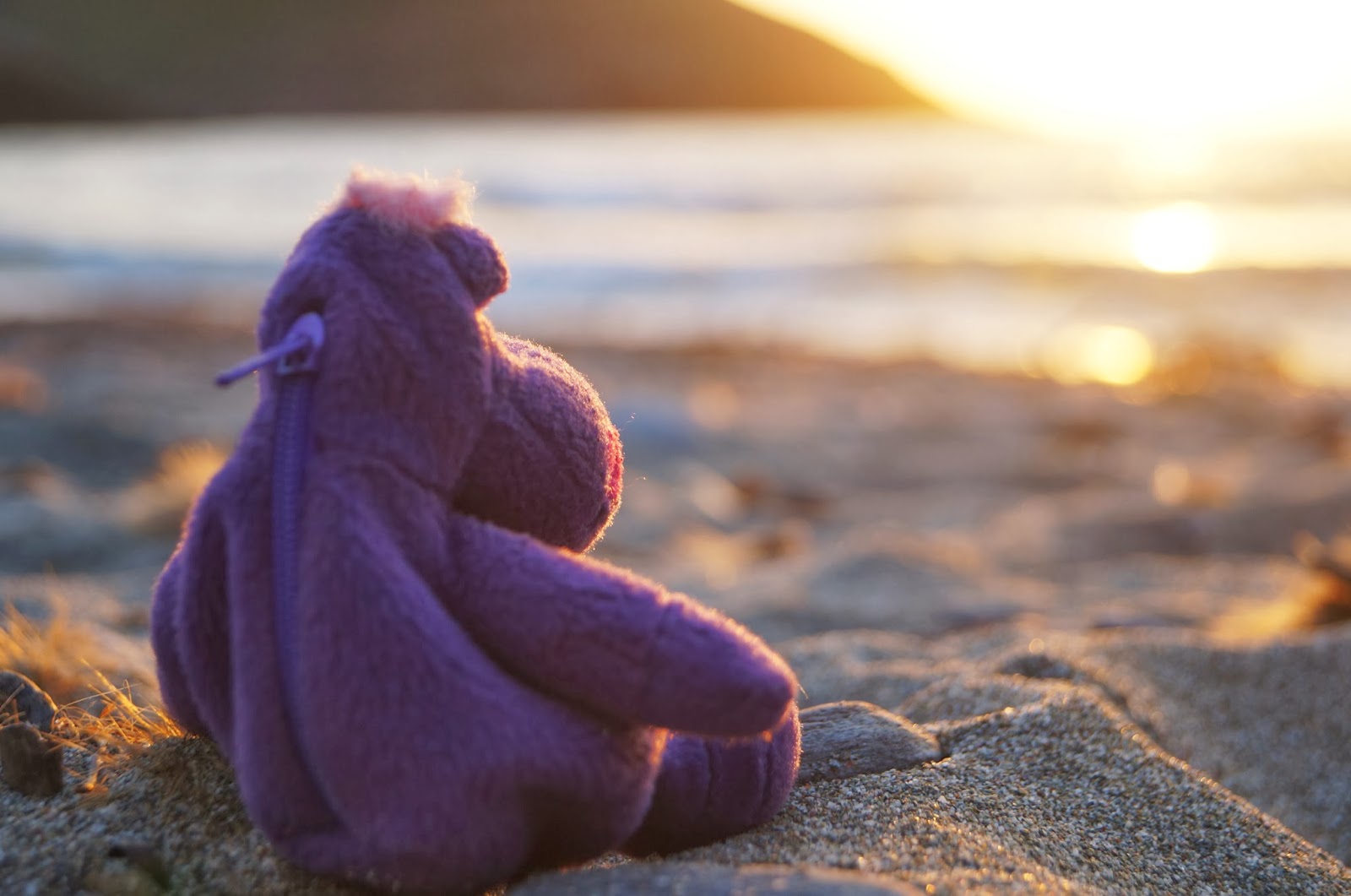 LES PHOTOS D'ERIC: Popotam et le coucher de soleil corse