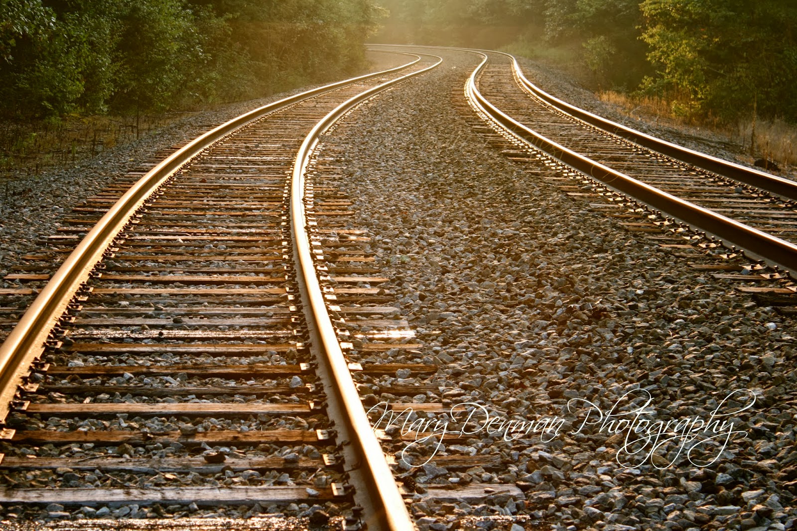 Mary Denman: Photo Tip Friday: Horizontal versus Vertical in Photography